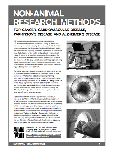 Non-Animal Research | Victims of Charity